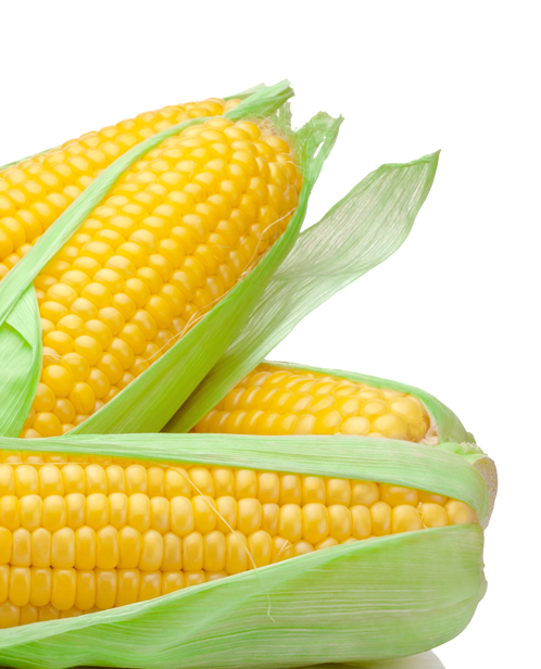 NUFiber | CORN BASED PREBIOTIC FIBER!